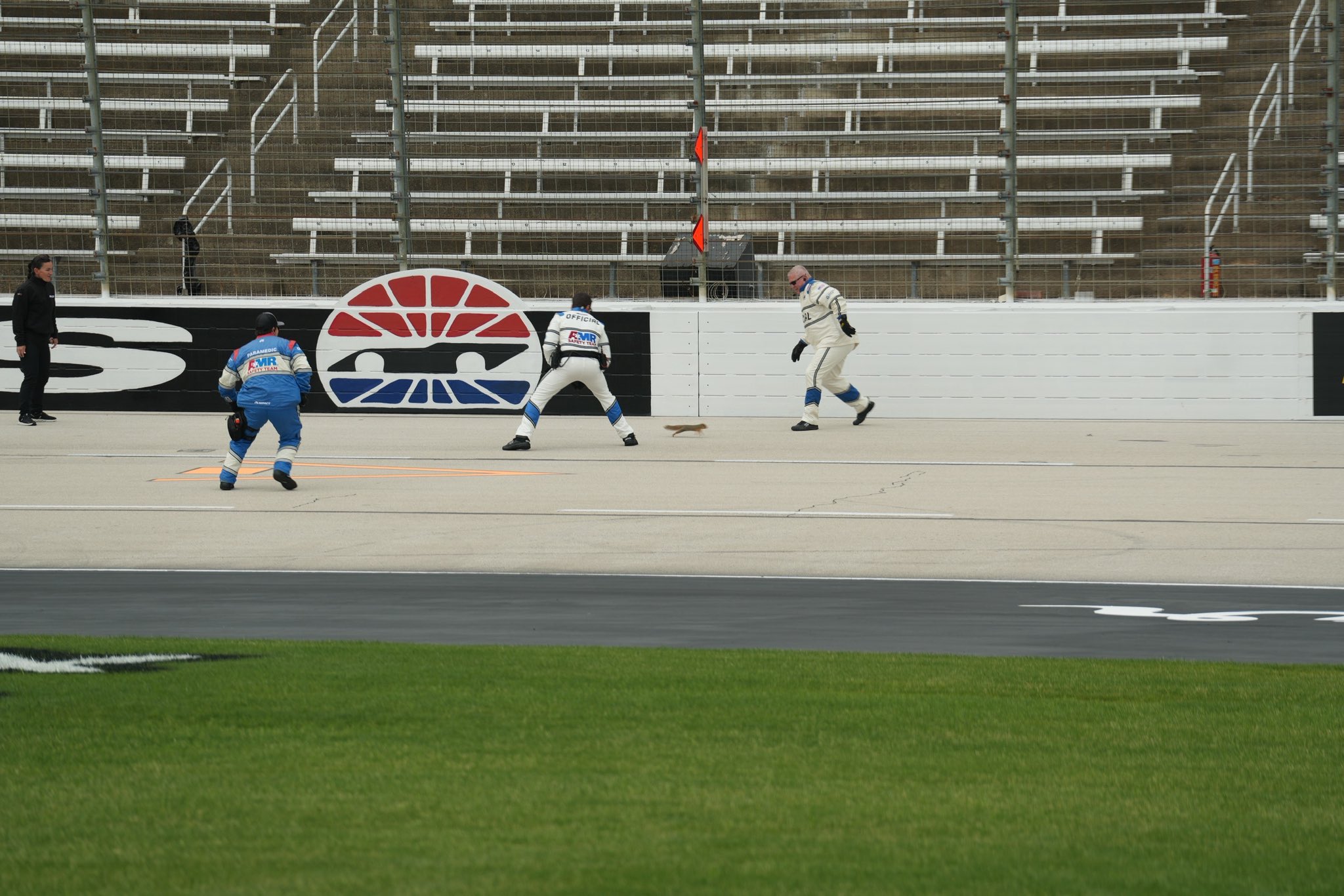 NASCAR officials chase squirrel at Texas Motor Speedway (Video ...